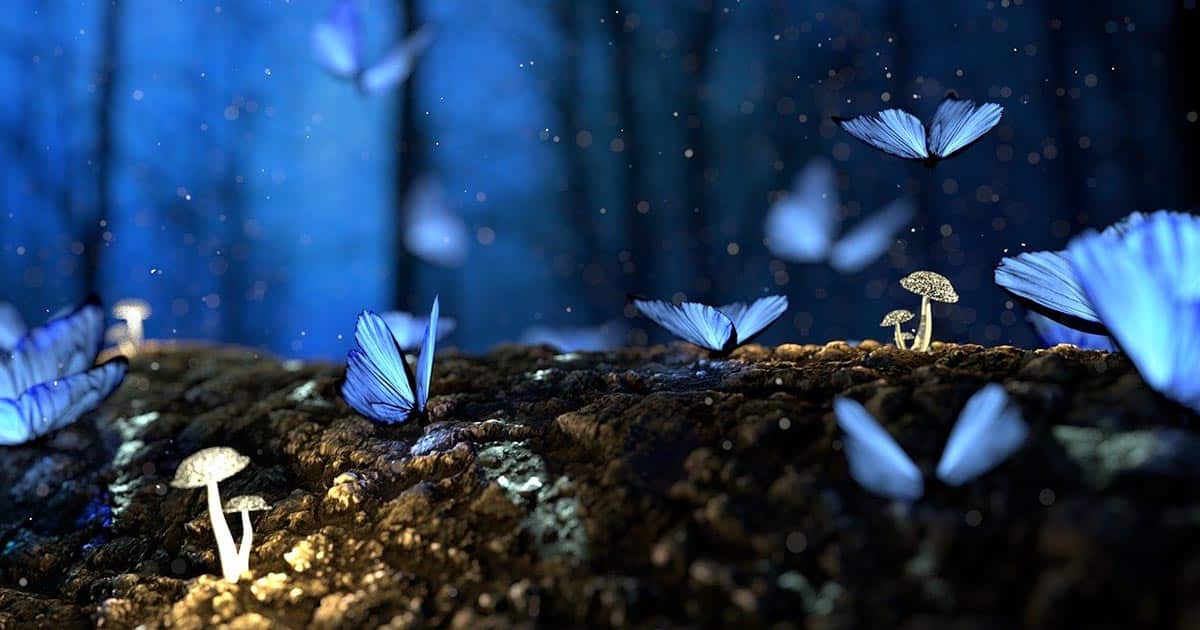 Comment écrire un conte ? Méthode | Comment écrire